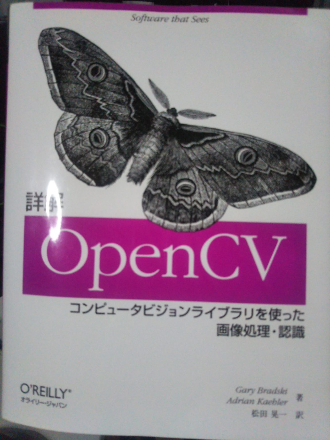 格ゲーの動画を解析したい 〜背景除去編〜 5フレーム目 | コーラは1日500mlまで